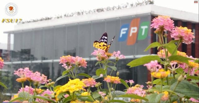 Những kỷ niệm cùng FPT