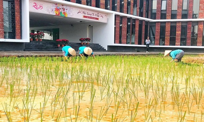 F-Ville ngôi làng của lập trình viên nhà F